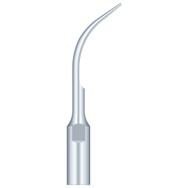 Supragingival Scaling GD5